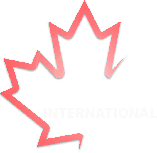 BHT International - R&D STRATEGY AND CONSUMER-CENTRIC INNOVATION IN ...